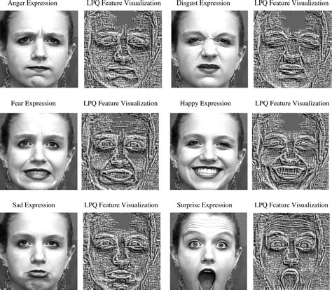 Automatic Facial Expression Recognition Combining Texture And Shape Features From Prominent