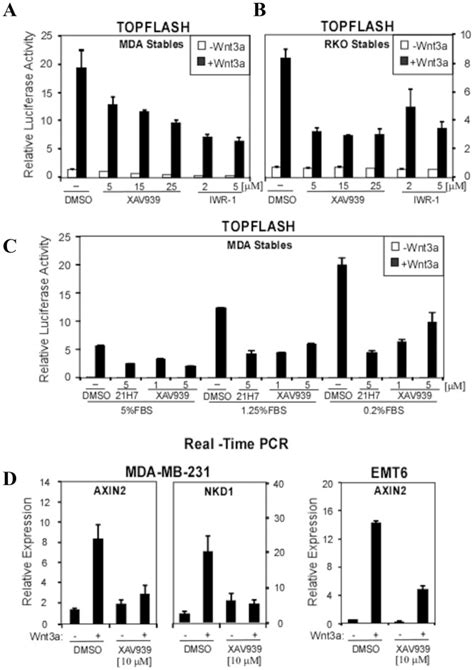 AB Tankyrase Inhibitors XAV And IWR Endo Attenuate TOPFLASH Download Scientific