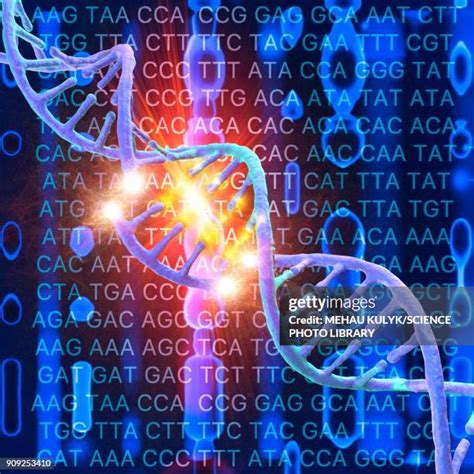 Nucleic Acid Sequence Photos And Premium High Res Pictures Getty Images