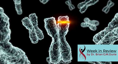 Random Mutations And Mm Intl Myeloma Fndn
