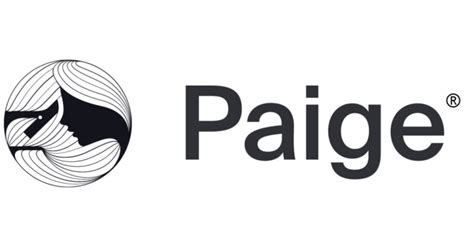 Paige Ai Healthcare Technologies