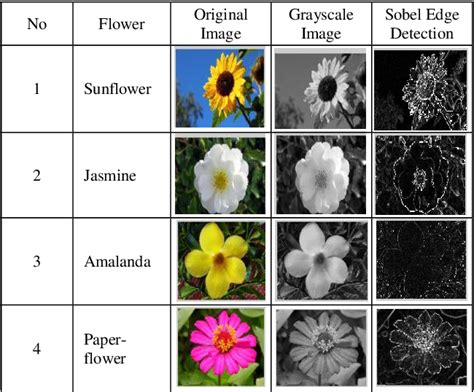 table 2 from implementation of sobel method based edge detection for flower image segmentation