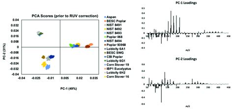 Principal Component Analysis Of Pyrolysis Followed By Mass Spectrometry Download Scientific
