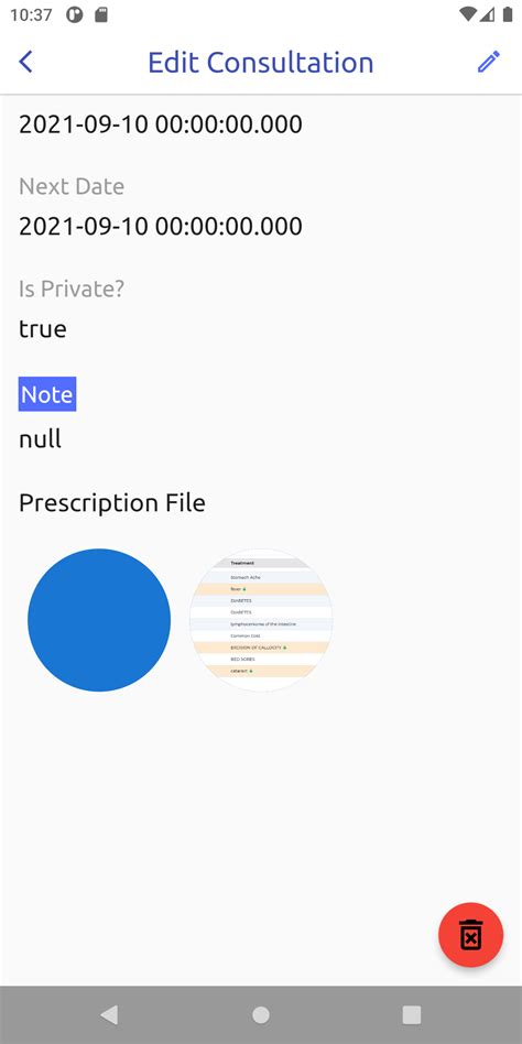 display list of pdf and image separately from api in flutter stack overflow