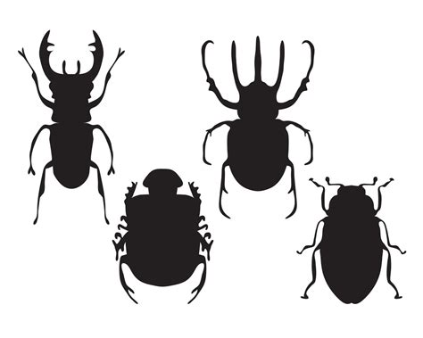 Bug Svg Bugs Svg Beetles Svg Bug Dxf Beetle Dxf Bug Template