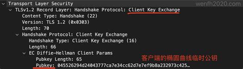 浅析 tls（ecdhe）协议的握手流程（图解） tls ech是如何找到入口的 csdn博客