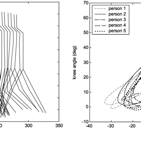 anatomically driven extraction and description yoo et al 2002