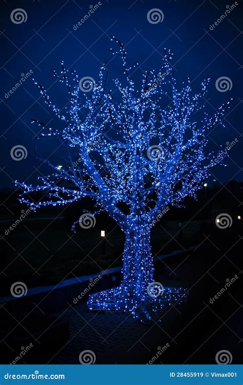 Led Decorated Tree Stock Image Image Of Emitting Toila 28455919