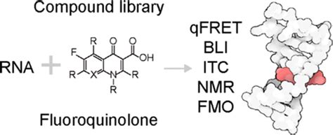 Probing Rnasmall Molecule Interactions Using Biophysical And Computational Approaches Acs