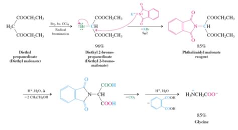 Chem 2520 Ch 26 Flashcards Quizlet