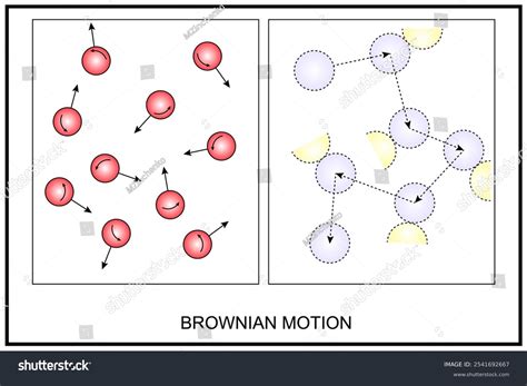 Scientific Diagram Showing Brownian Motion Particles Stock Vector
