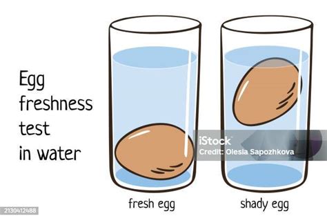물에서 계란 신선도 테스트 흰색 배경에 고립된 투명한 물 유리에 떠 있는 달걀입니다 신선한 제품에서 나쁜 것까지 신선도 세트 만화 스타일 음식 일러스트 0명에 대한 스톡