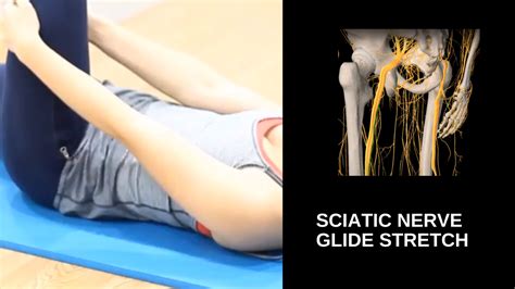 Sciatic Nerve Glide Stretch — Sydney Health Physiotherapy