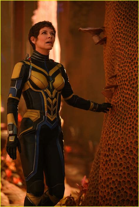 Photo Ant Man And The Wasp End Credits 02 Photo 4895511 Just Jared Entertainment News