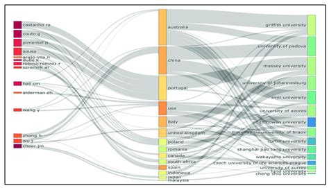 Scientific Productions By Different Countries Source Own Elaboration