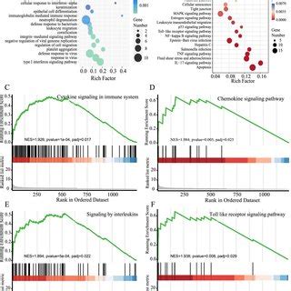 Differences In The Function Of Epithelial Cells In Patients With Download Scientific Diagram