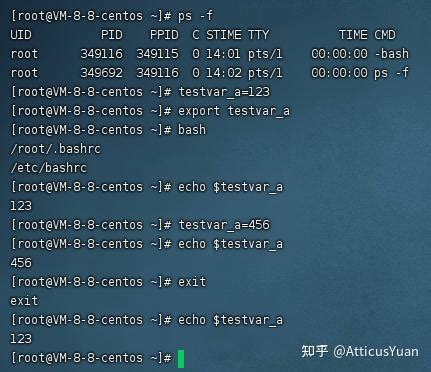 Linux Shell 变量之环境变量全局变量局部变量区别 知乎