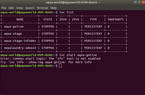 Lxd Containers Stopped And Not Re Starting After Host Machine Had A Reboot Lxd Linux