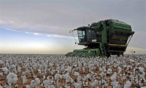 Three Technologies In Growing And Harvesting Cotton