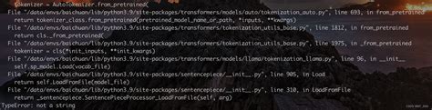 LLM LLama 模型读取报错 TypeError not a string CSDN博客