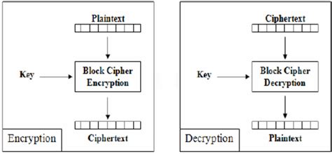 Encryption And Decryption Download Scientific Diagram