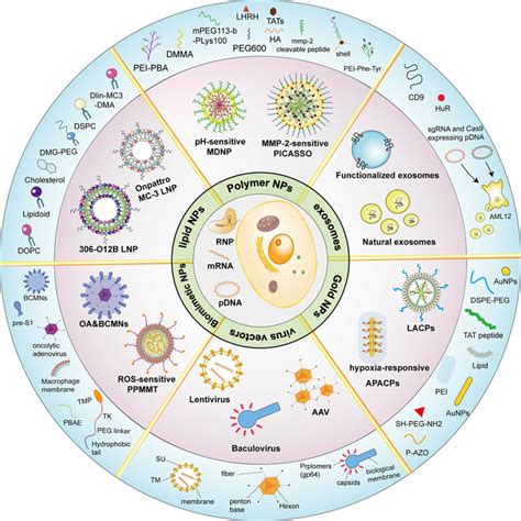•基因组编辑技术——crispr Cas9技术 知乎