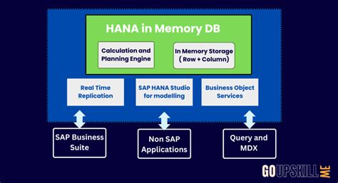 What Is SAP HANA GoUpSkill Me