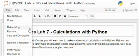 the jupyter notebook interface problem solving with python