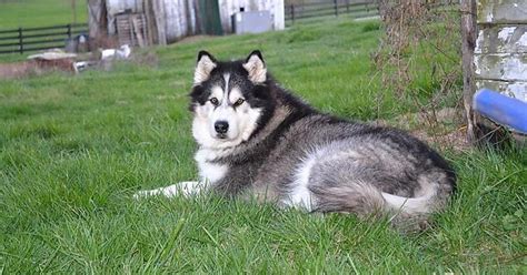 Maya Album On Imgur Maya Album On Imgur