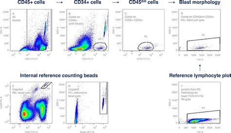 Quantitative Flow Cytometry Kcas Bio