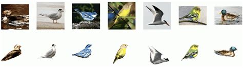 Self Supervised Single View 3d Reconstruction Via Semantic Consistency Research