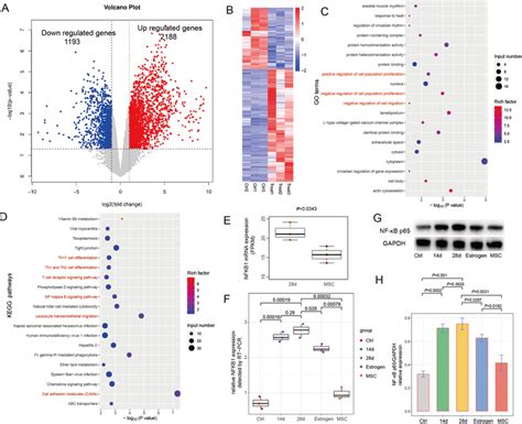 Rna Sequencing And Bioinformatics Analysis Reveal Biological Pathways Download Scientific