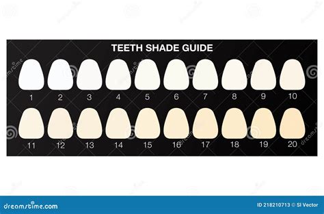 Teeth Colour Chart A3 At James Glassman Blog