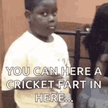 Crickets Chirping S Tenor
