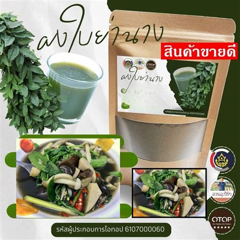 ผงใบย่านาง ใช้แทนใบสด 100 ใบย่านางบดผงไม่ผสมชงดื่มหรือใส่ประกอบอาหาร แบบ ซอง 90 กรัม Shopee