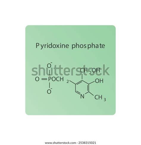 Pyridoxine Phosphate Skeletal Structure Diagramvitamin B6 Stock Vector Royalty Free 2538315021