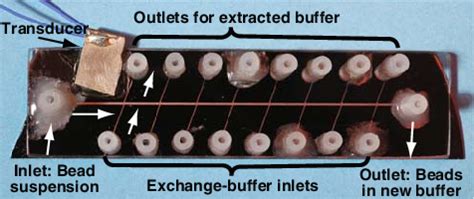 Photo Of The Buffer Exchange Chip With The Glued Piezoceramic Download Scientific Diagram