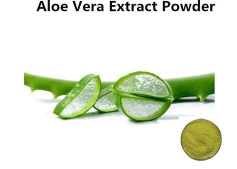 Natural Herb Aloe Emodin Supplement Aloe Vera Extract And Aloe Emodin