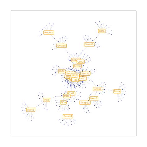 Apply Spatrack To Infer Cell Transitions Across Multiple Time Points In Spatial Transcriptomic