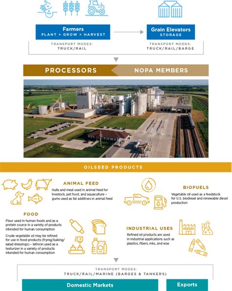 U S Oilseed Processing Value Chain Nopa