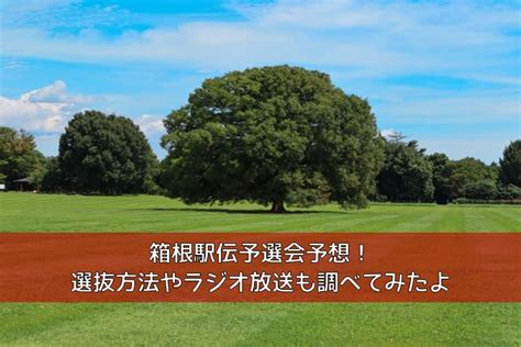 箱根駅伝予選会2024予想！選抜方法やラジオ放送も調べてみた よろず情報局