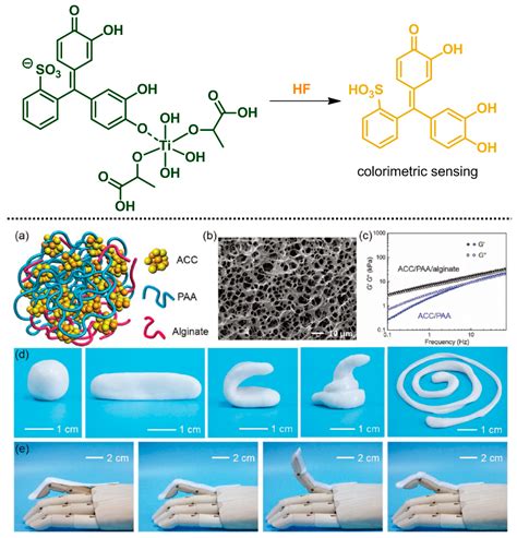 Chemical Design Of Functional Polymer Structures For Biosensors From