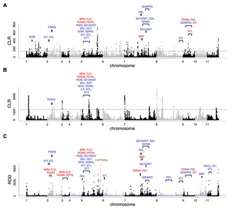 Signatures Of Selection Across The Mungbean Genome Composite Likelihood Download Scientific