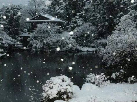 Pin By Lirio Mota On Nipon Wonders Of The World Cute Themes Nature