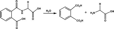 Cyclic Amide Hydrolysis