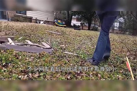 欺辱弱小？男子“一脚踢飞”猫咪，人们纷纷谴责却不知真相！猫咪人们男子