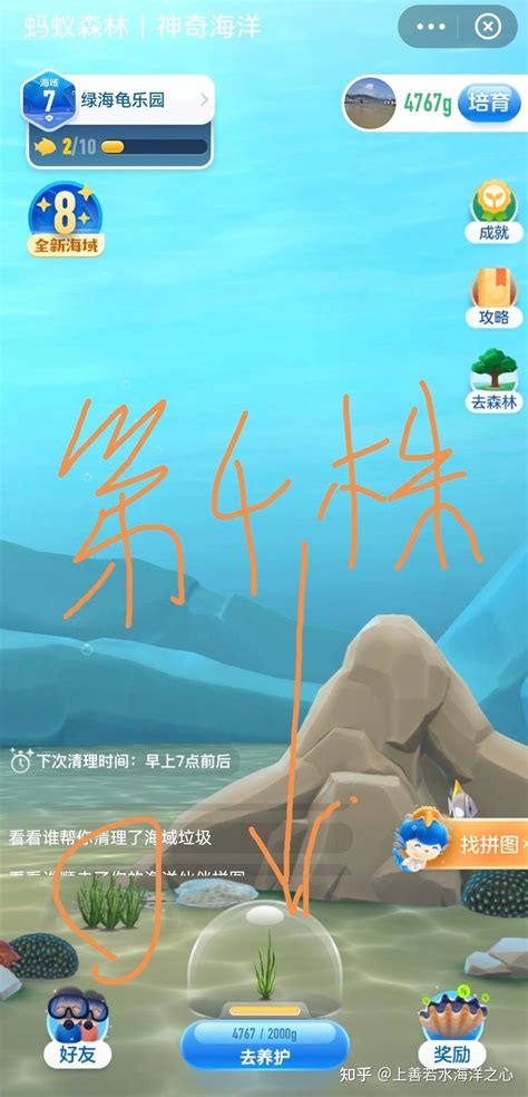 支付宝， 蚂蚁森林， 神奇海洋玩法13 知乎