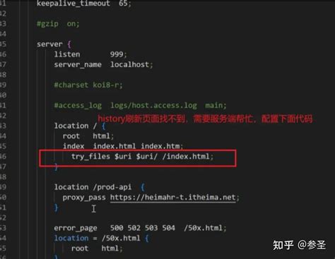 Vue 基础知识总结 知乎