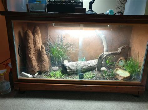 My Bioactive Grassland Themed Ball Python Vivarium Built From An Old Dresser Snakes My Bioactive Grassland Themed Ball Python Vivarium Built From An Old Dresser Snakes