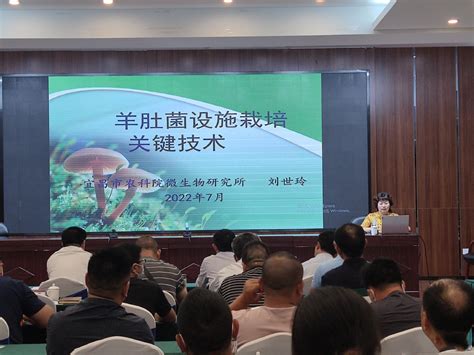宜昌市食用菌产业发展大会暨食用菌新品种新技术培训交流会成功召开 新闻资讯 菌业百科网 食用菌行业百科平台